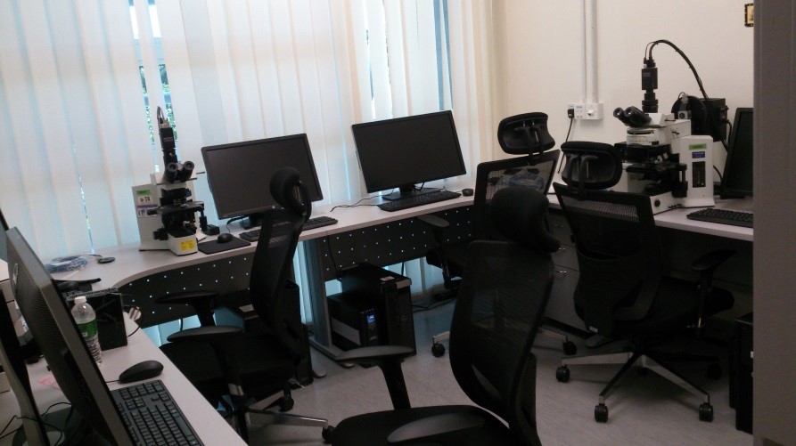 Main Instruments (Genetics)