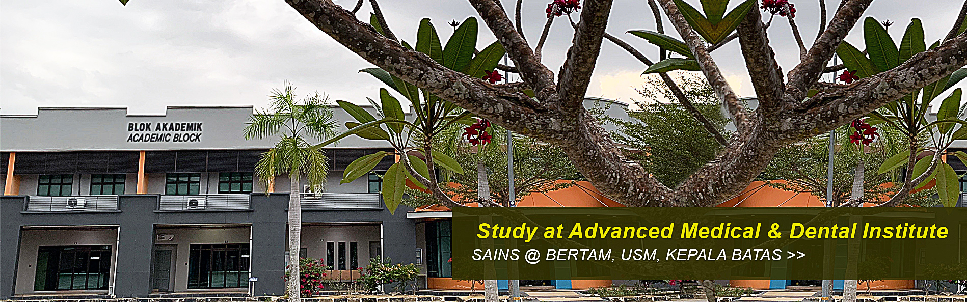 HOME [www.amdi.usm.my]