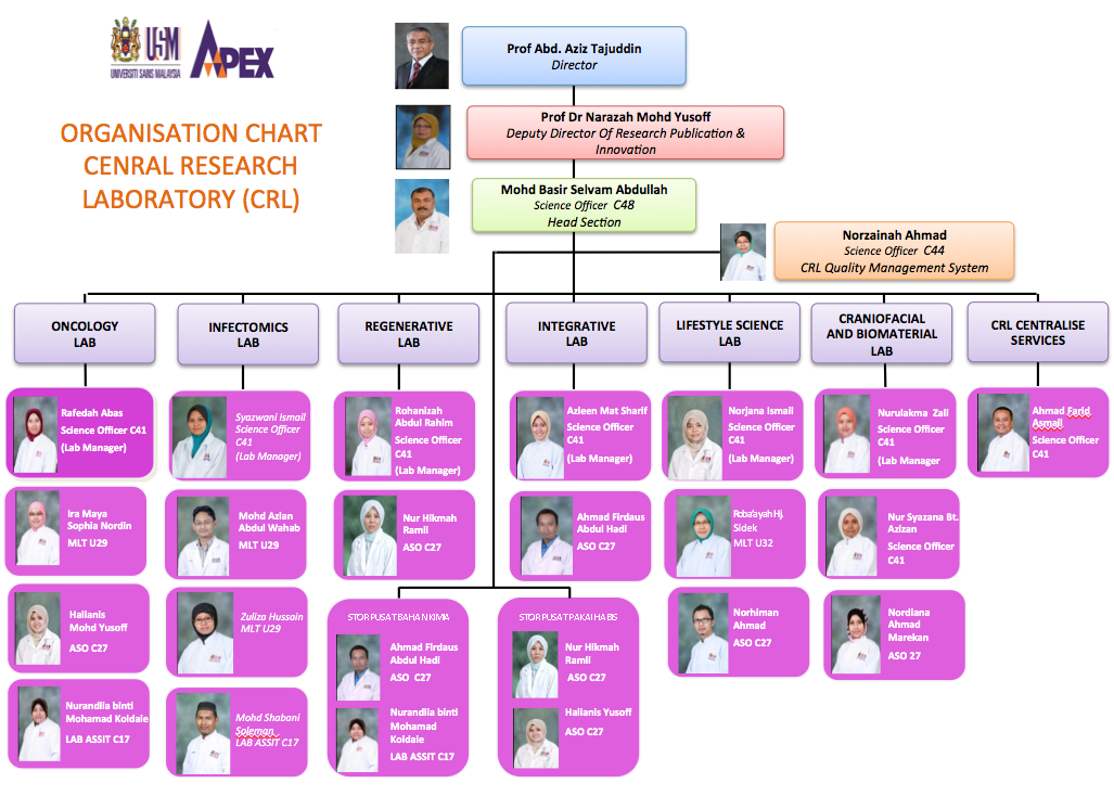 CRL Organisation Chart