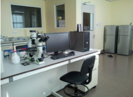 Cluster Facilities