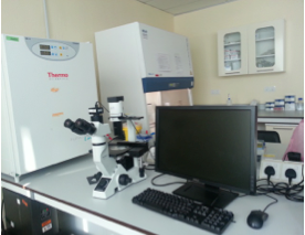 Cluster Facilities